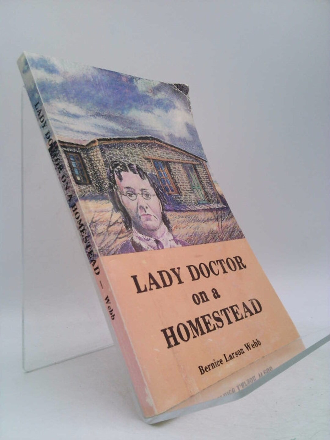 Lady Doctor on a Homestead: the Thomas County Years 1879-1890 of Mary ...