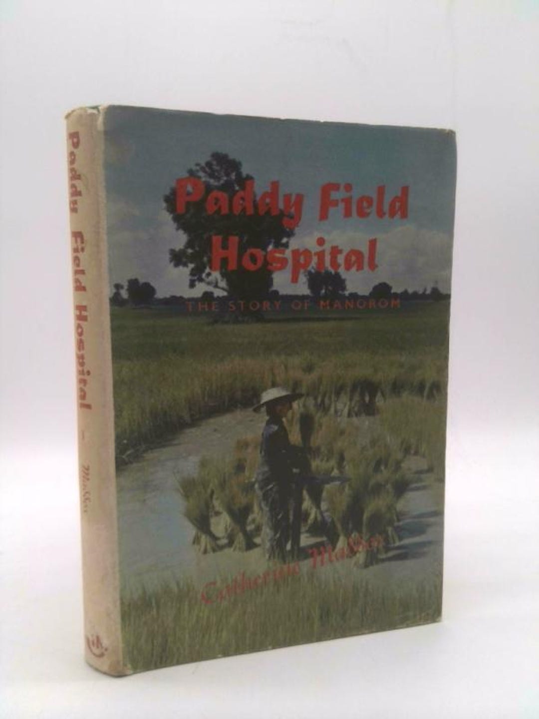 Paddy Field Hospital a Story From Manorom, Thailand by Catherine Maddox ...