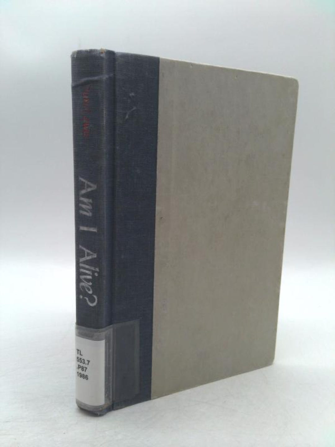 Am I Alive?: A Surviving Flight Attendant's Struggle and Inspiring ...