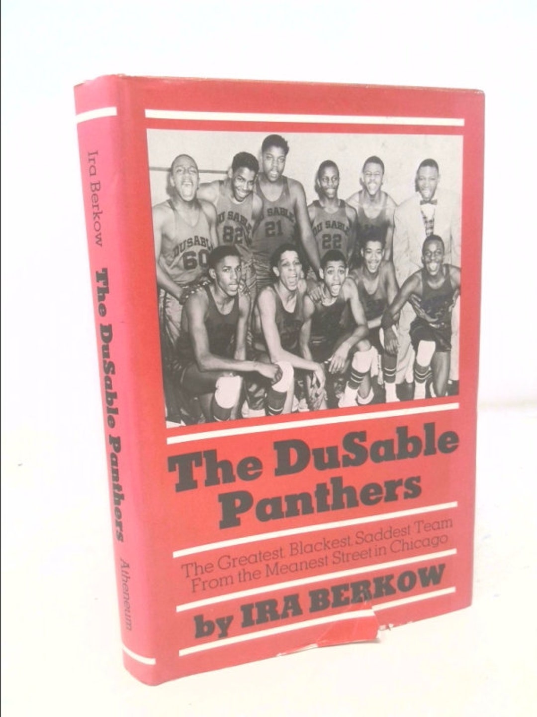 The Dusable Panthers: the Greatest, Blackest, Saddest Team From the ...