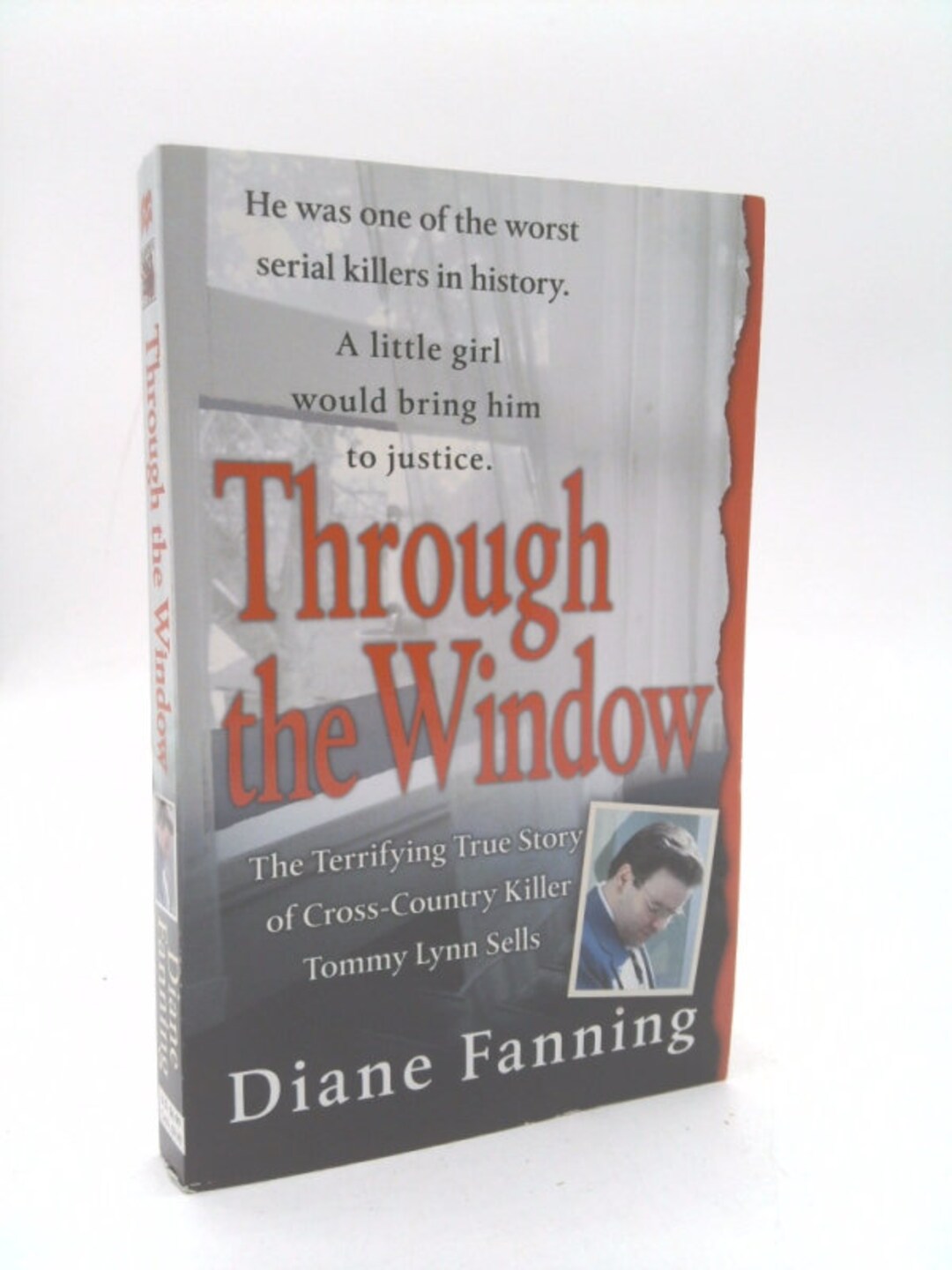 Through the Window by Diane Fanning - Etsy
