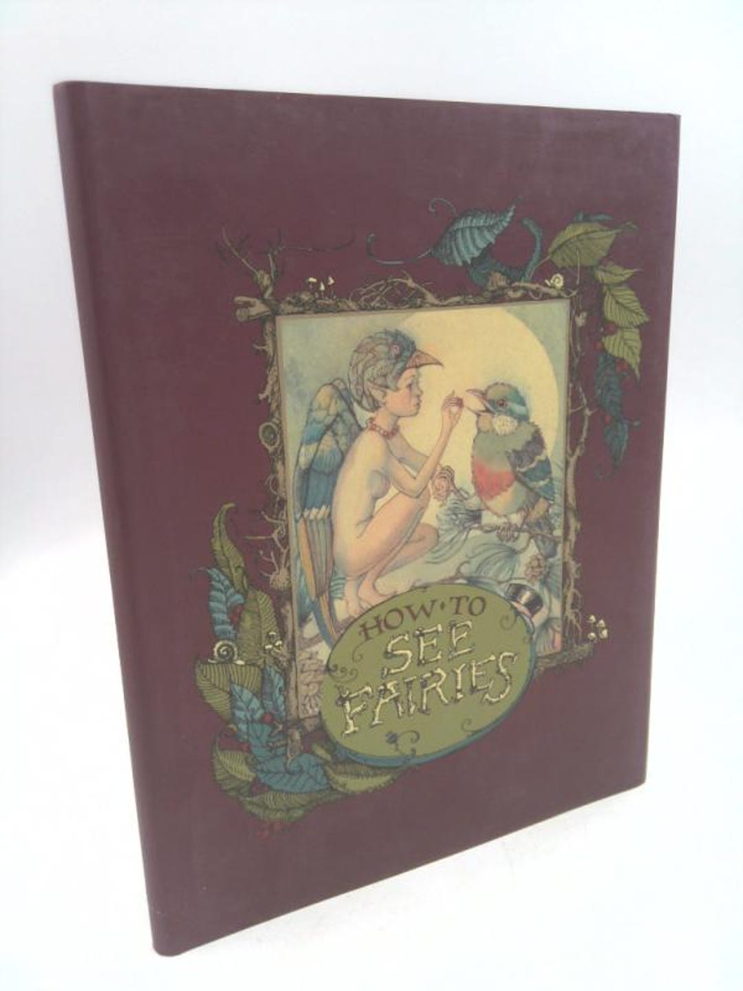 How to See Fairies with Poster and Stationery Set and Journal and ...