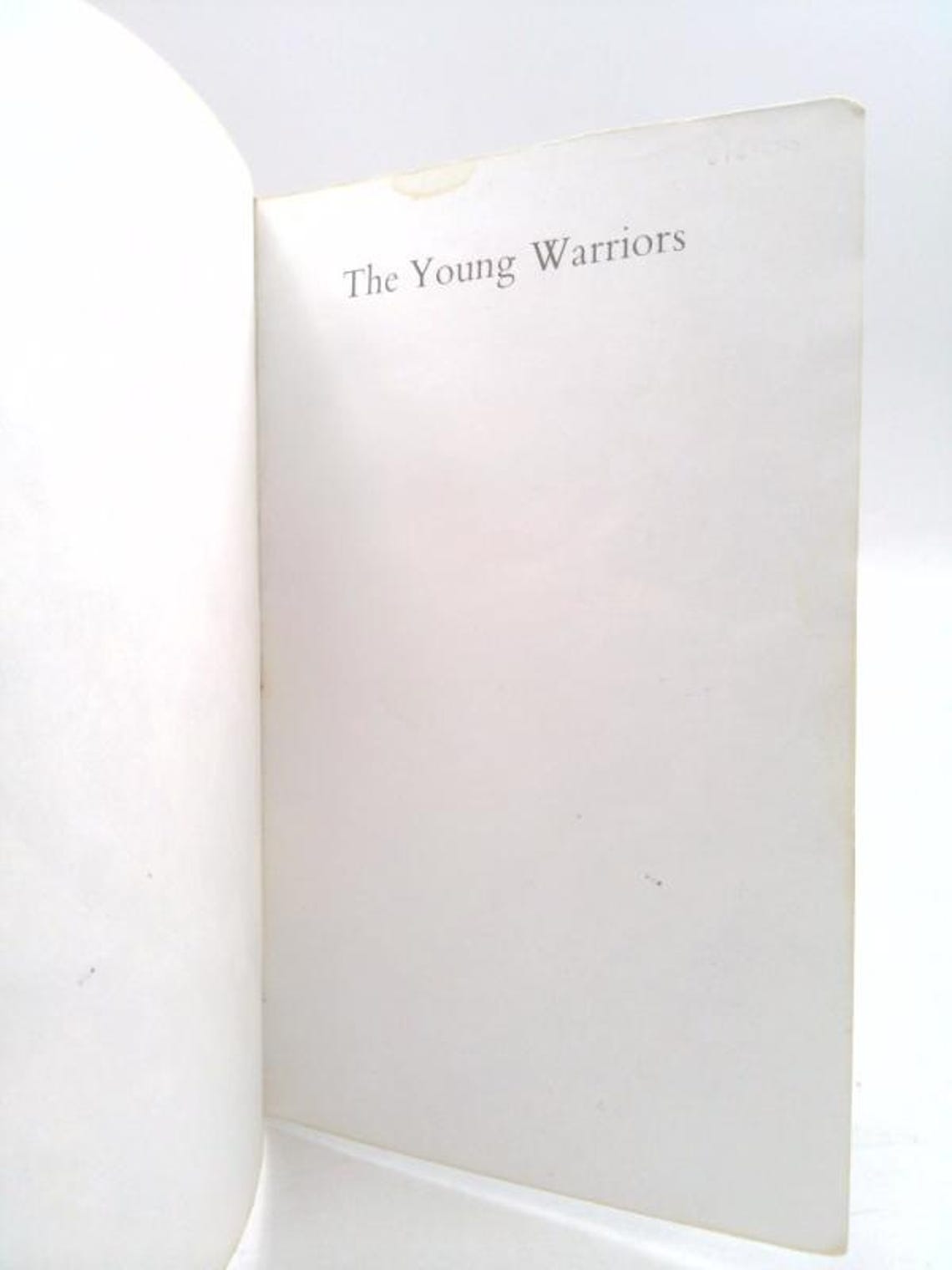 The Young Warriors by Victor Stafford Reid - Etsy