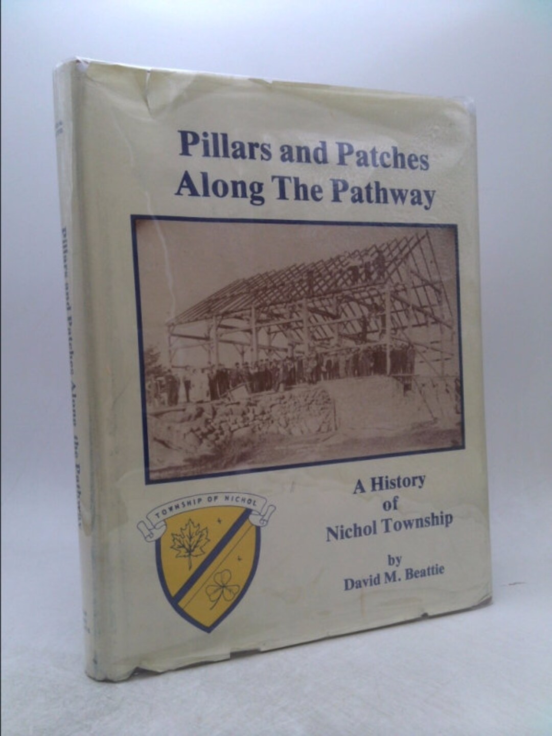 Pillars and Patches Along the Pathway: A History of Nichol Township by David M. Beattie - Etsy