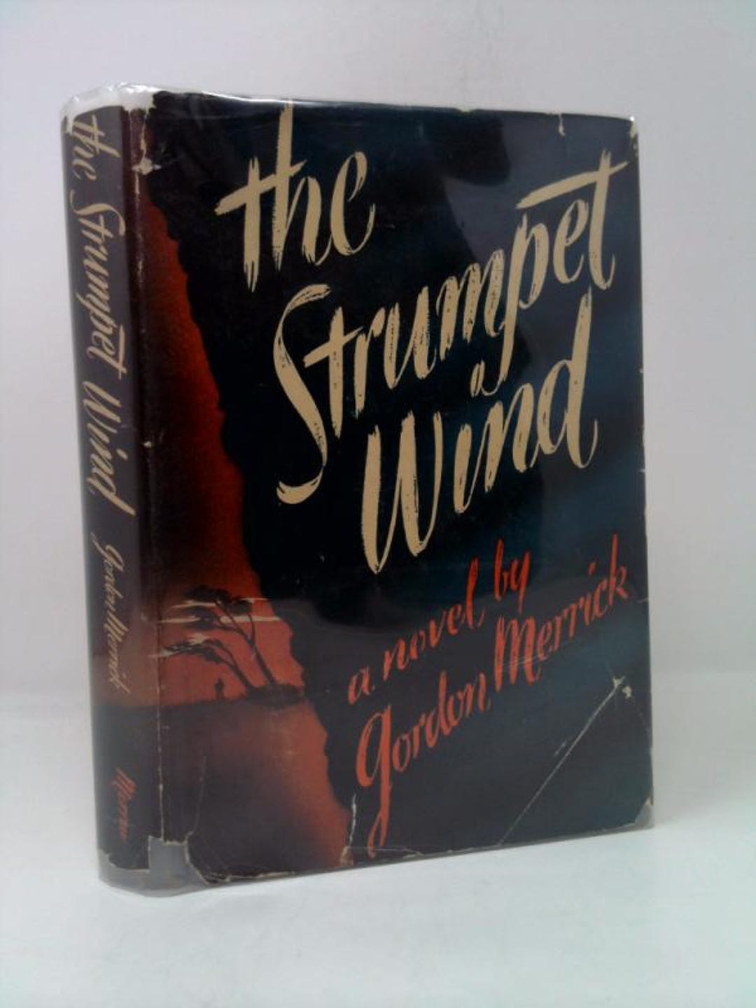 The Strumpet Wind by Gordon Merrick - Etsy