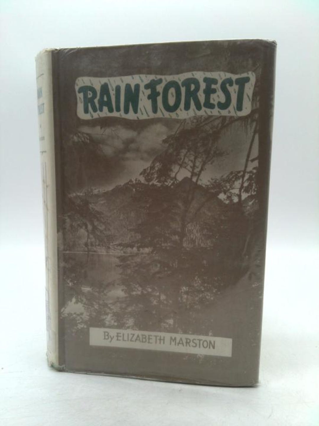 Rain Forest;: From Palms to Evergreens by Elizabeth Marston - Etsy
