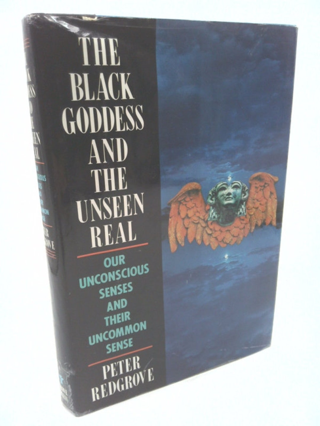 The Black Goddess and the Unseen Sense by Peter Redgrove - Etsy