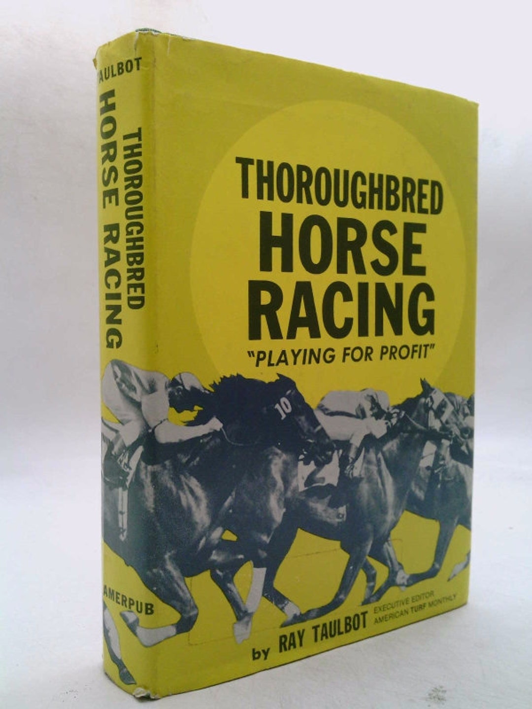 Thoroughbred Horse Racing by Ray Taulbot - Etsy