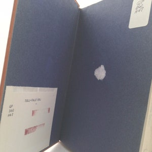 The Tell-tale Eye: How Your Eyes Reveal Hidden Thoughts and Emotions by ...