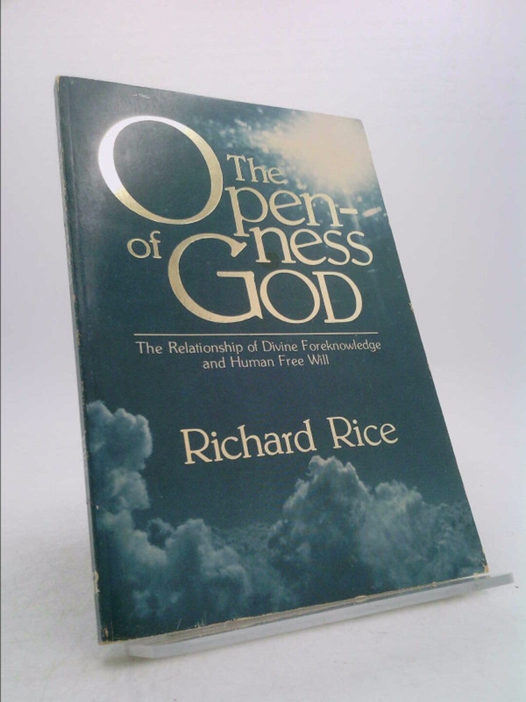 The Openness of God: the Relationship of Divine Foreknowledge - Etsy