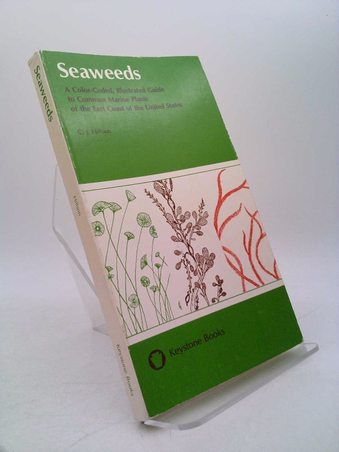 Seaweeds: A Color-coded Illustrated Guide to Common Marine - Etsy