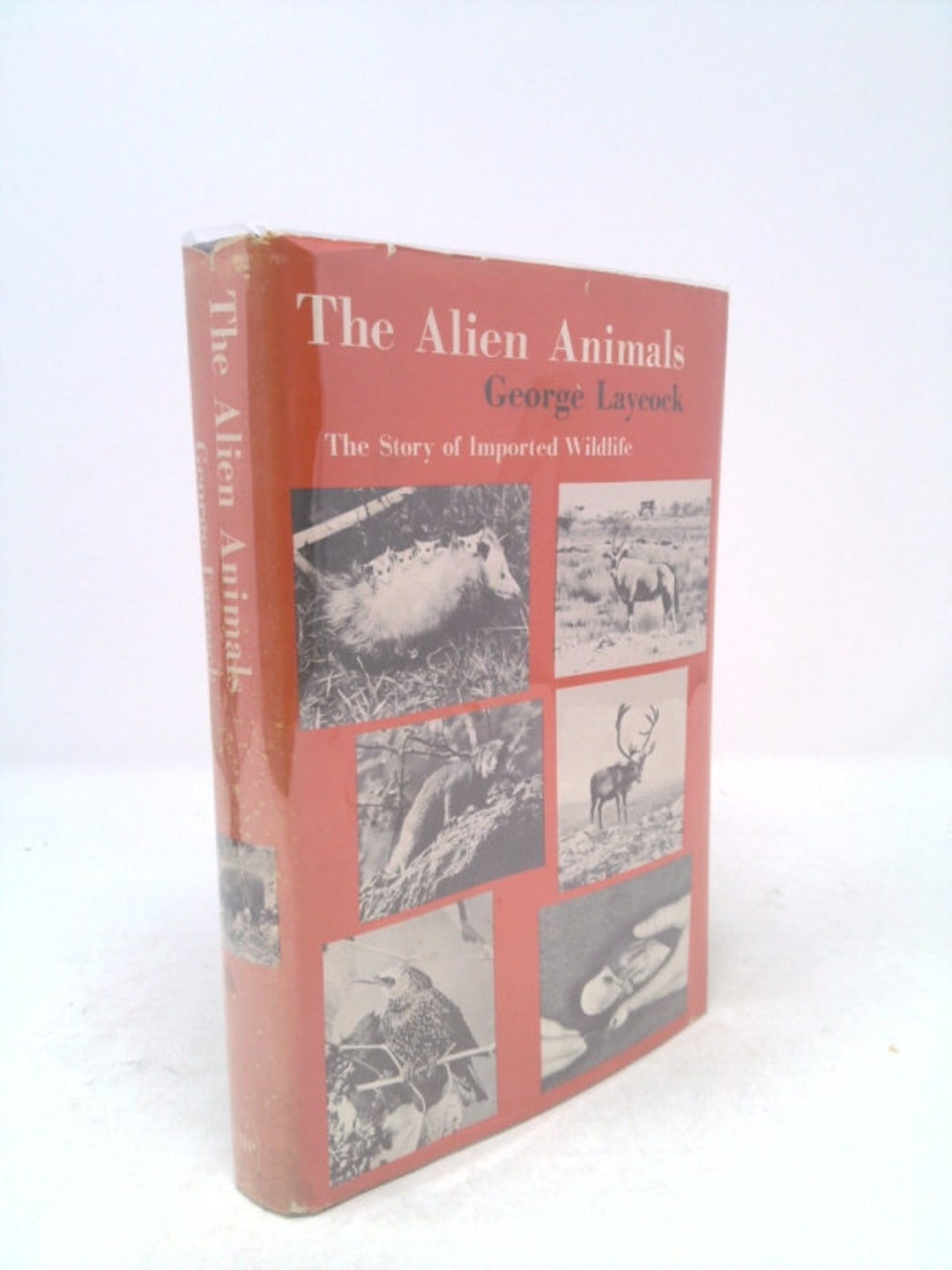 Rare the Alien Animals the Story of Imported Wildlife Laycock 1st ...