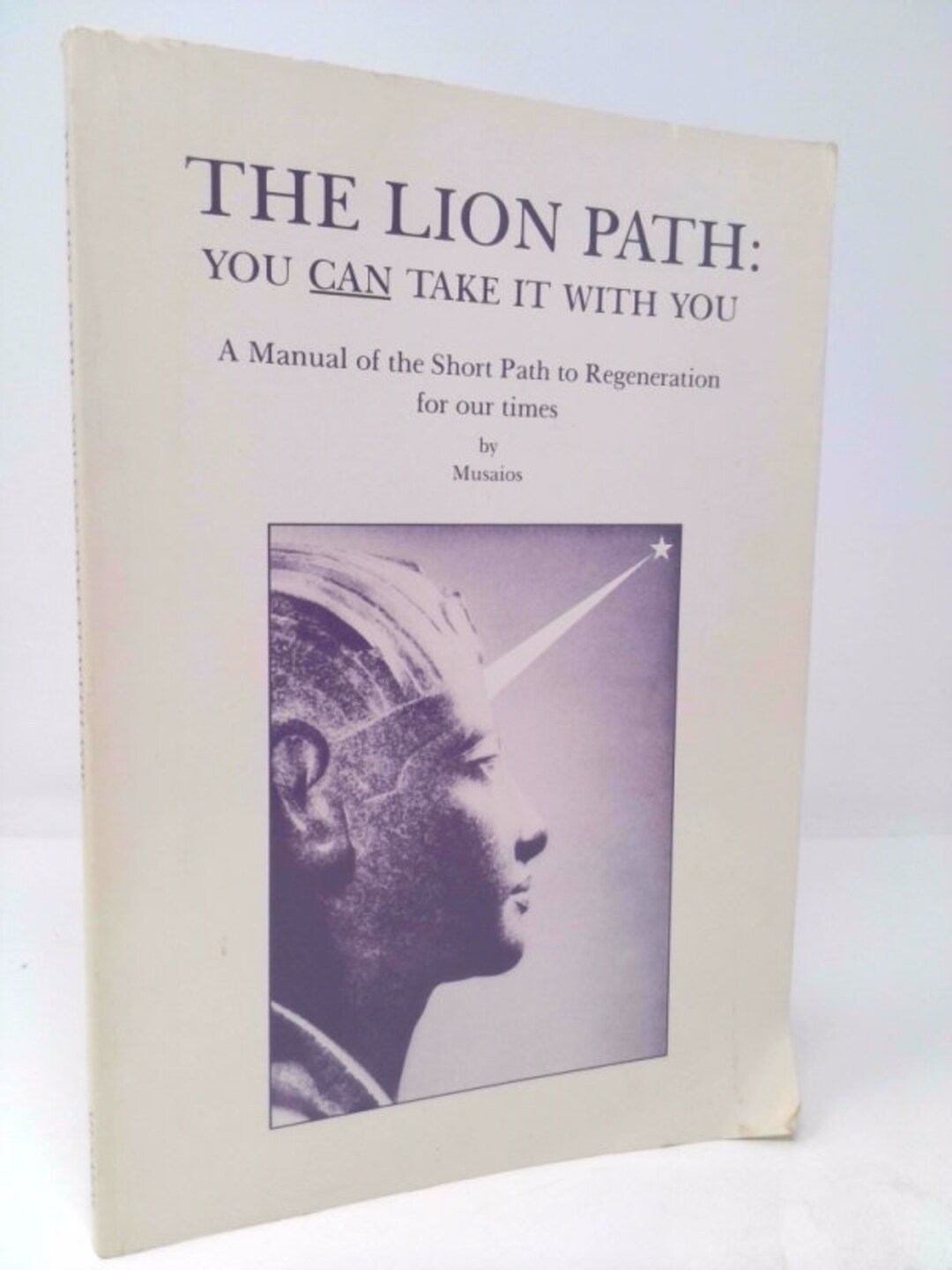The Lion Path: You Can Take It With You by Musaios - Etsy