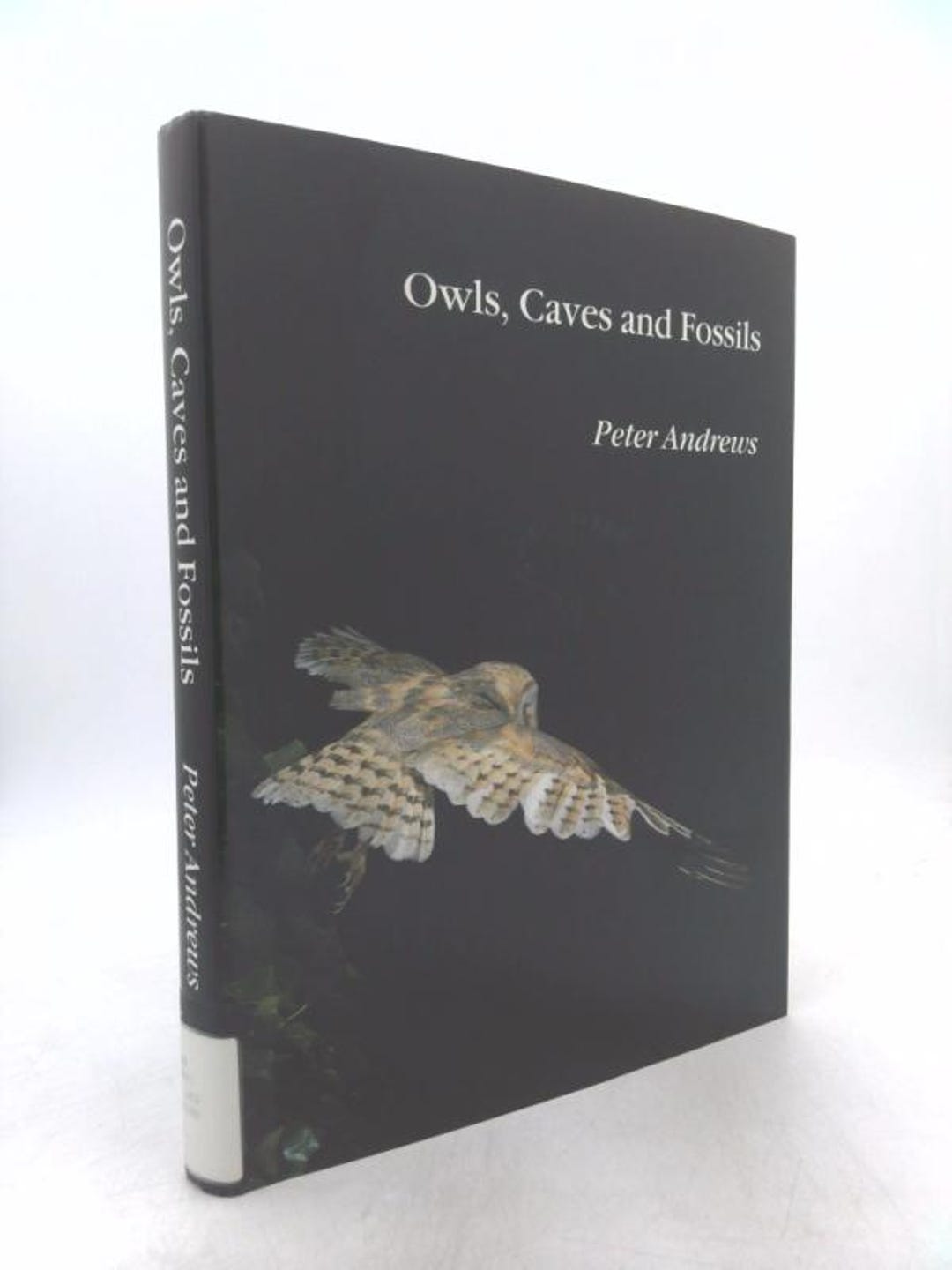 Owls, Caves and Fossils: Predation, Preservation and Accumulation of ...