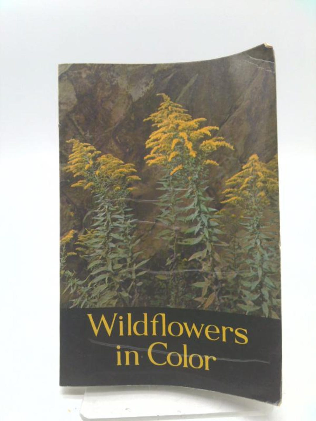 Wildflowers in Color by Arthur Stupka - Etsy