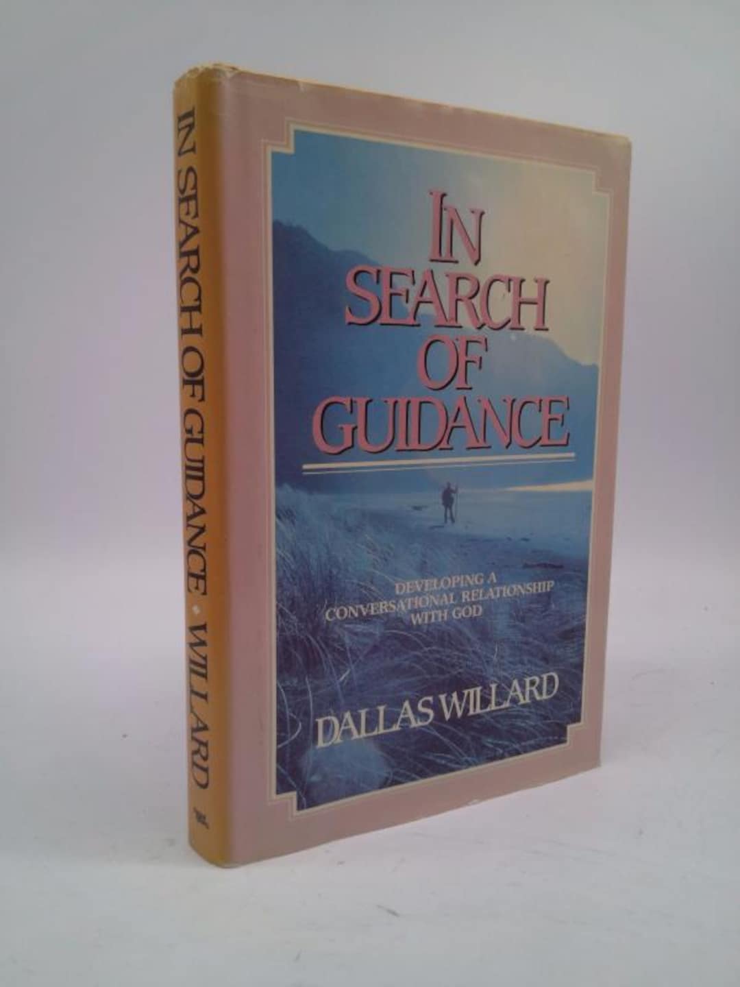 In Search of Guidance: Developing a Conversational Relationship With ...