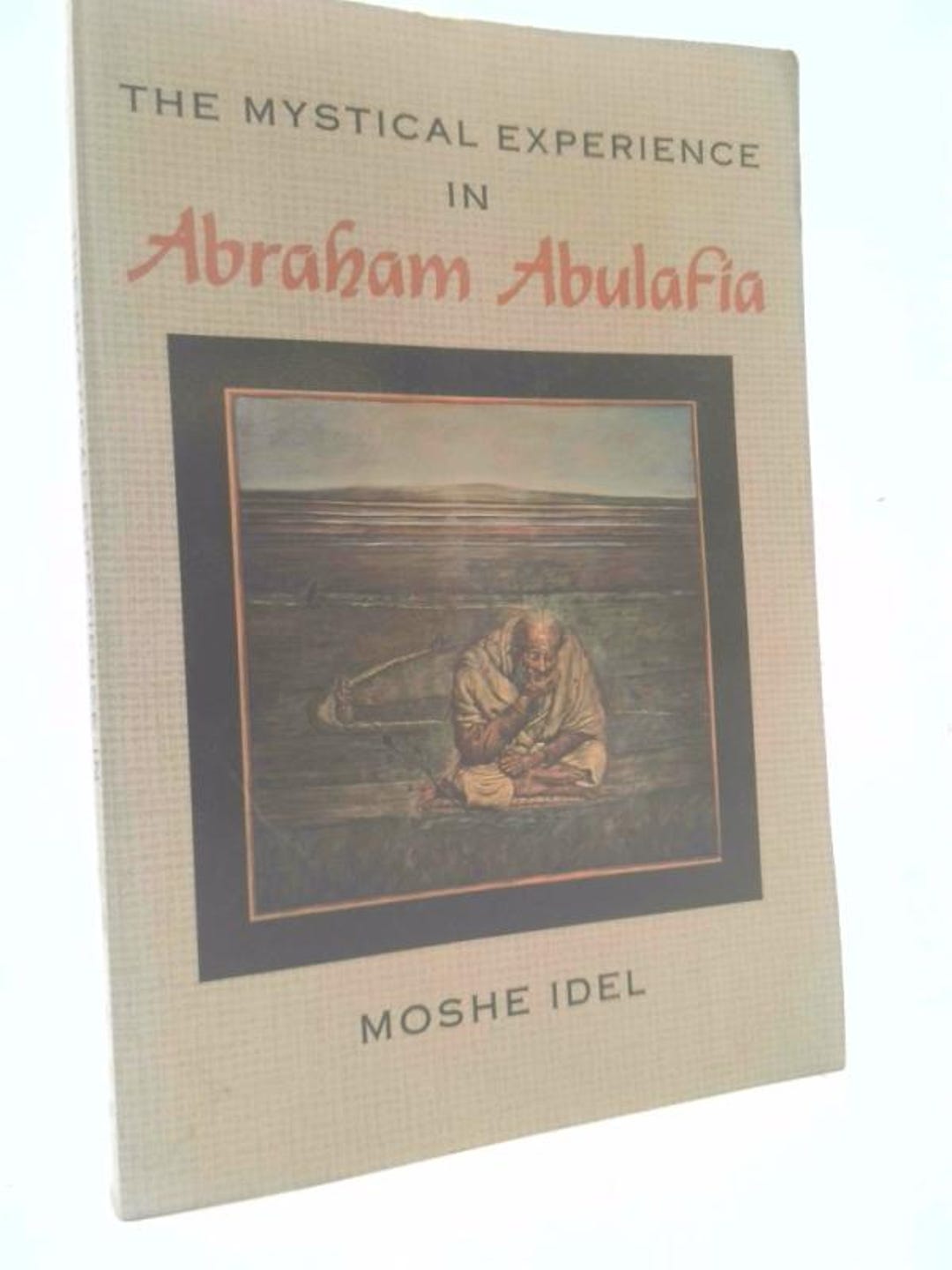 The Mystical Experience in Abraham Abulafia by Moshe Idel - Etsy
