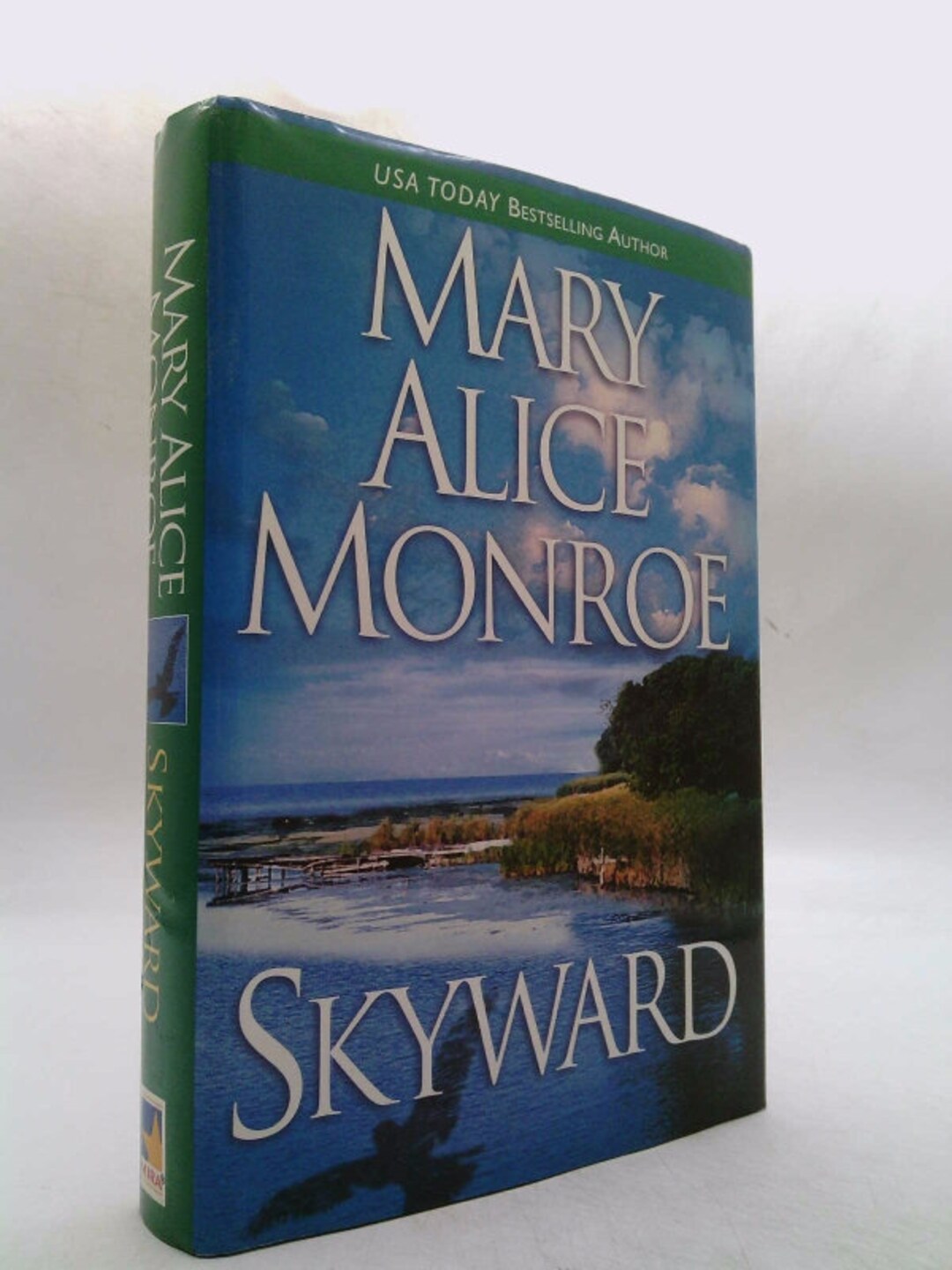 Skyward by Mary Alice Monroe - Etsy