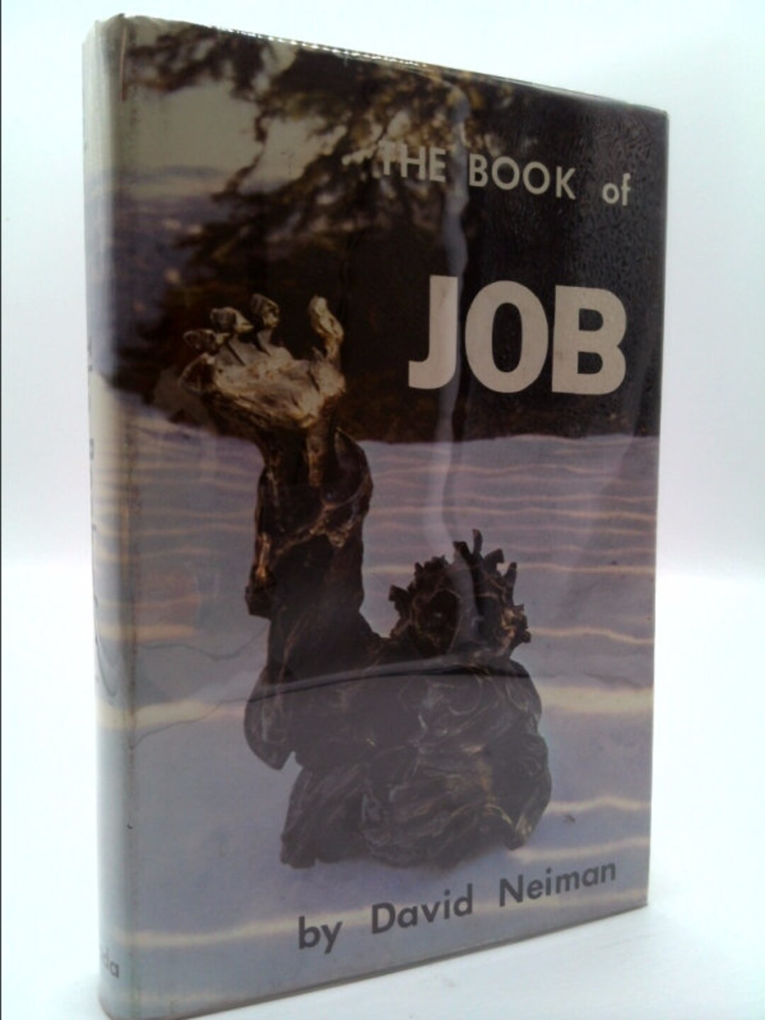 The Book of Job; a Presentation of the Book With Selected Portions ...