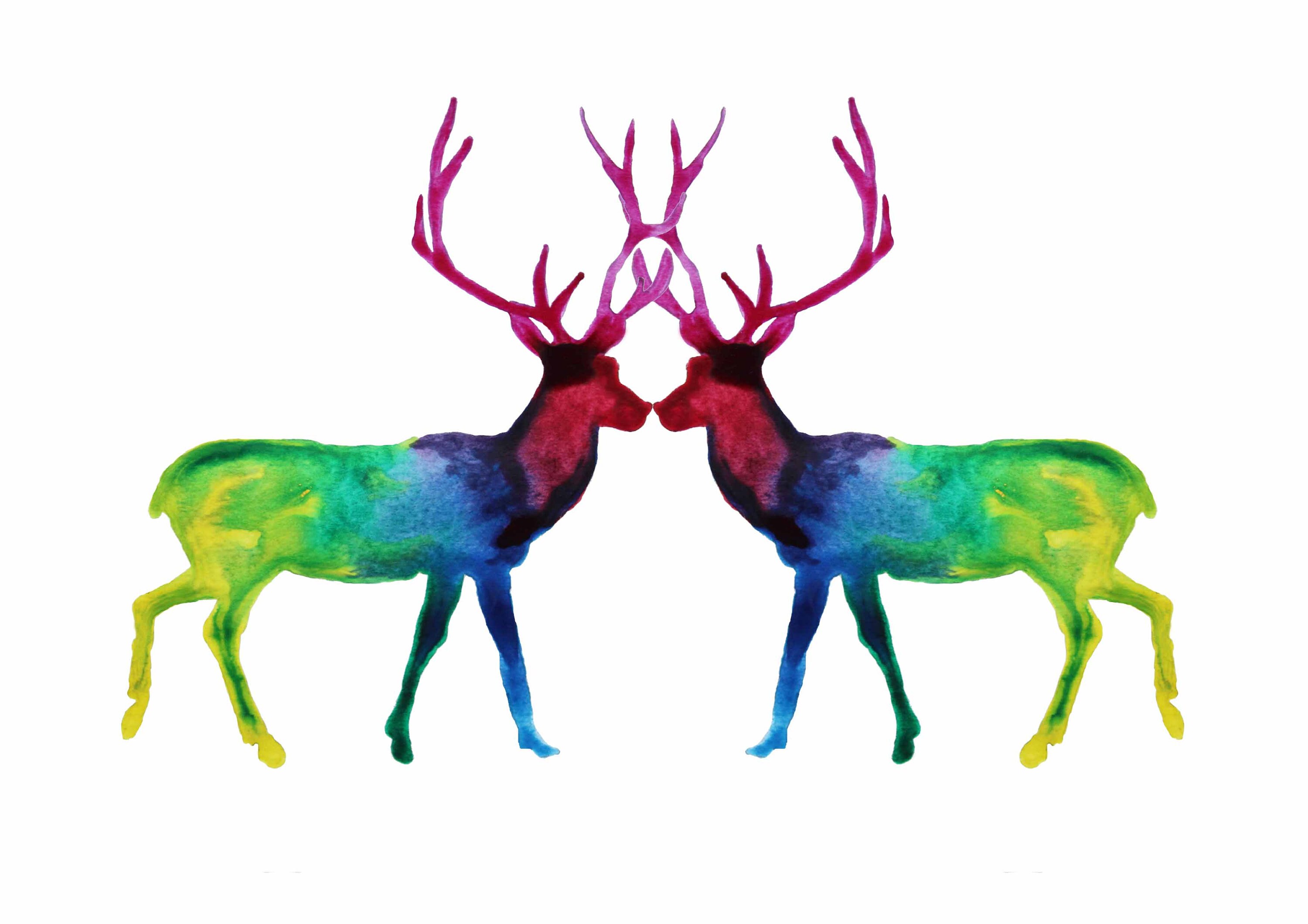 Stag Artwork Giclee Art Print Stag Print Stag Wall Art | Etsy