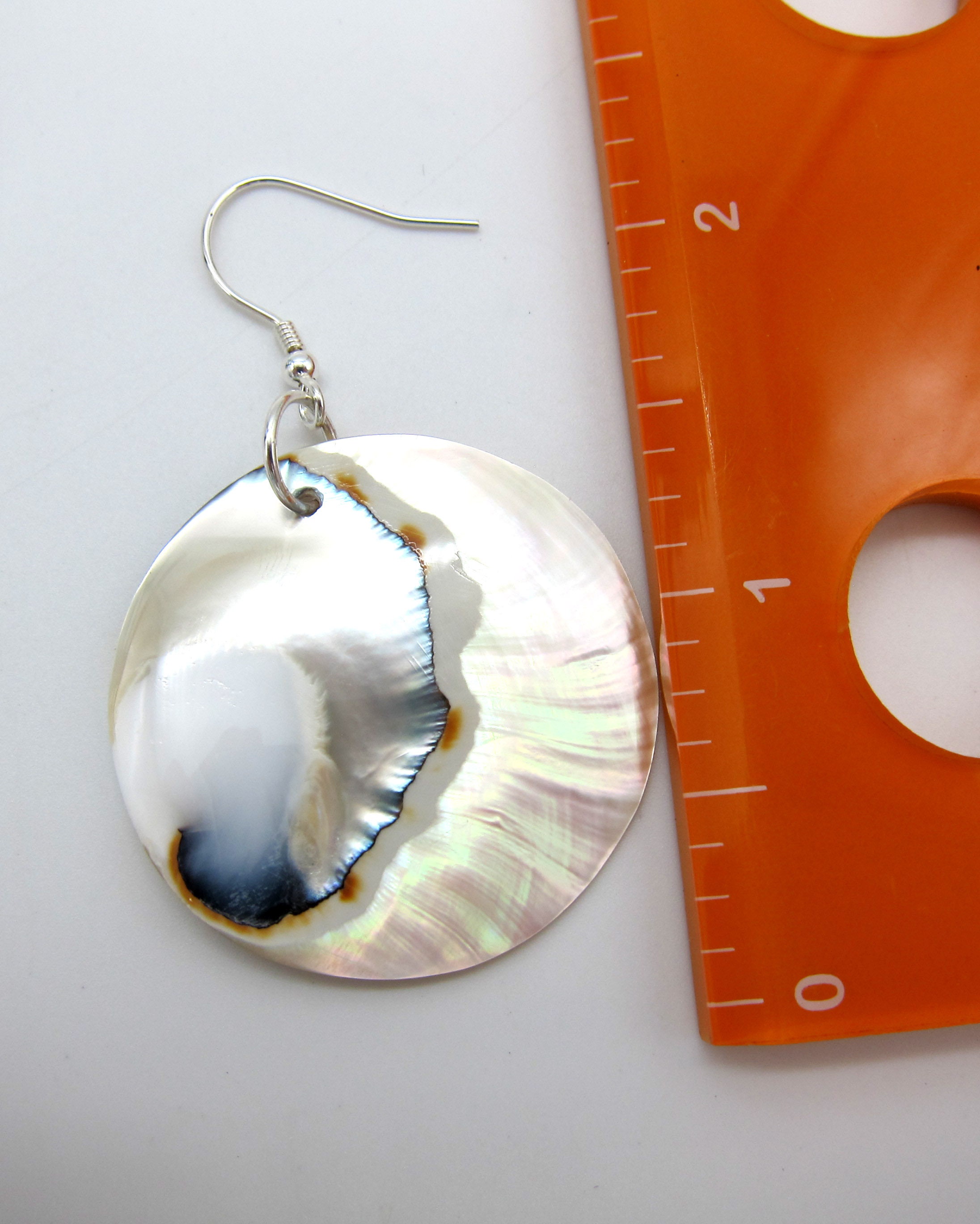 Handmade Chambered Nautilus Shell Earrings, Sterling Silver, Hawaiian ...