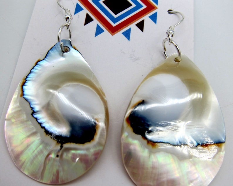 Genuine Chambered Nautilus Shell Earrings STERLING SILVER 925 Ear Wires ...