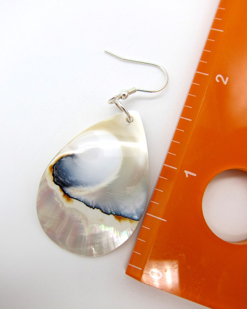 Genuine Chambered Nautilus Shell Earrings STERLING SILVER 925 Ear Wires ...
