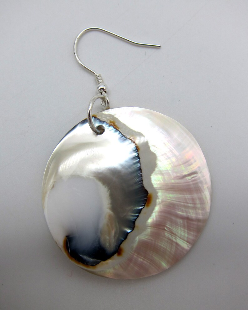 Handmade Chambered Nautilus Shell Earrings, Sterling Silver, Hawaiian ...