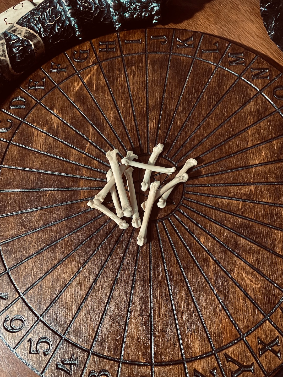 Bobcat Foot Bones - Etsy