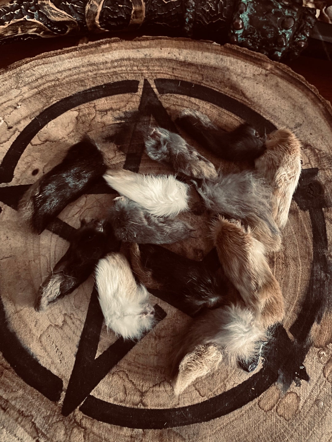 Rabbit Foot | Lucky | Amulet | Witchcraft | Charms - Etsy
