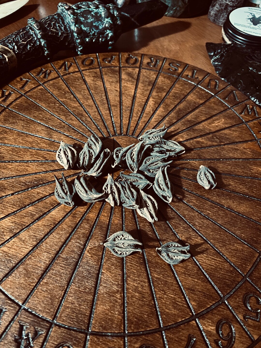 Bat Head Root | Devil Pod | Evil Pod | Garuda Mukku - Etsy