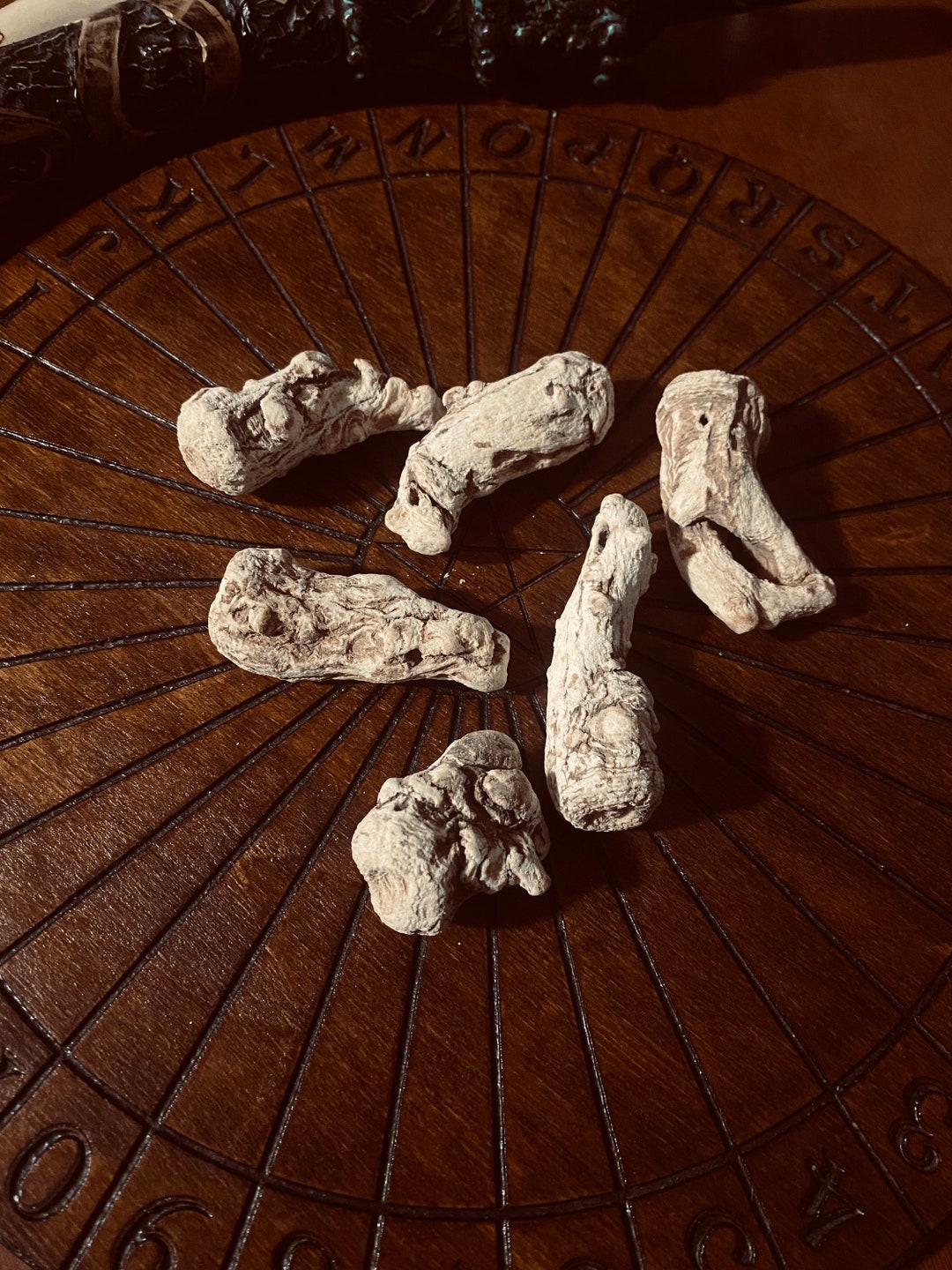 Angelica Root | Holy Ghost Root | Exorcism | Protection | Dong Quai ...