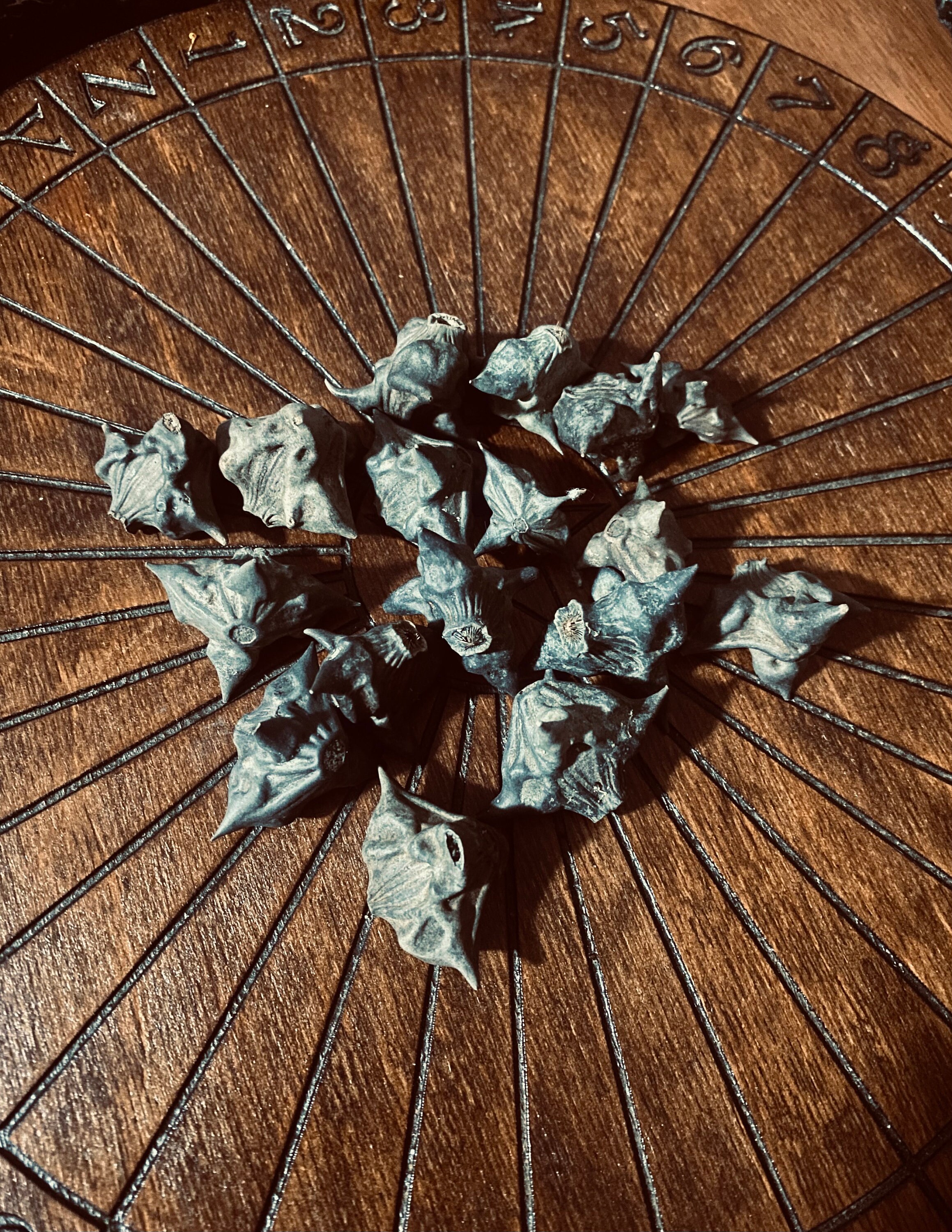 Devil Pods | Witch - Etsy