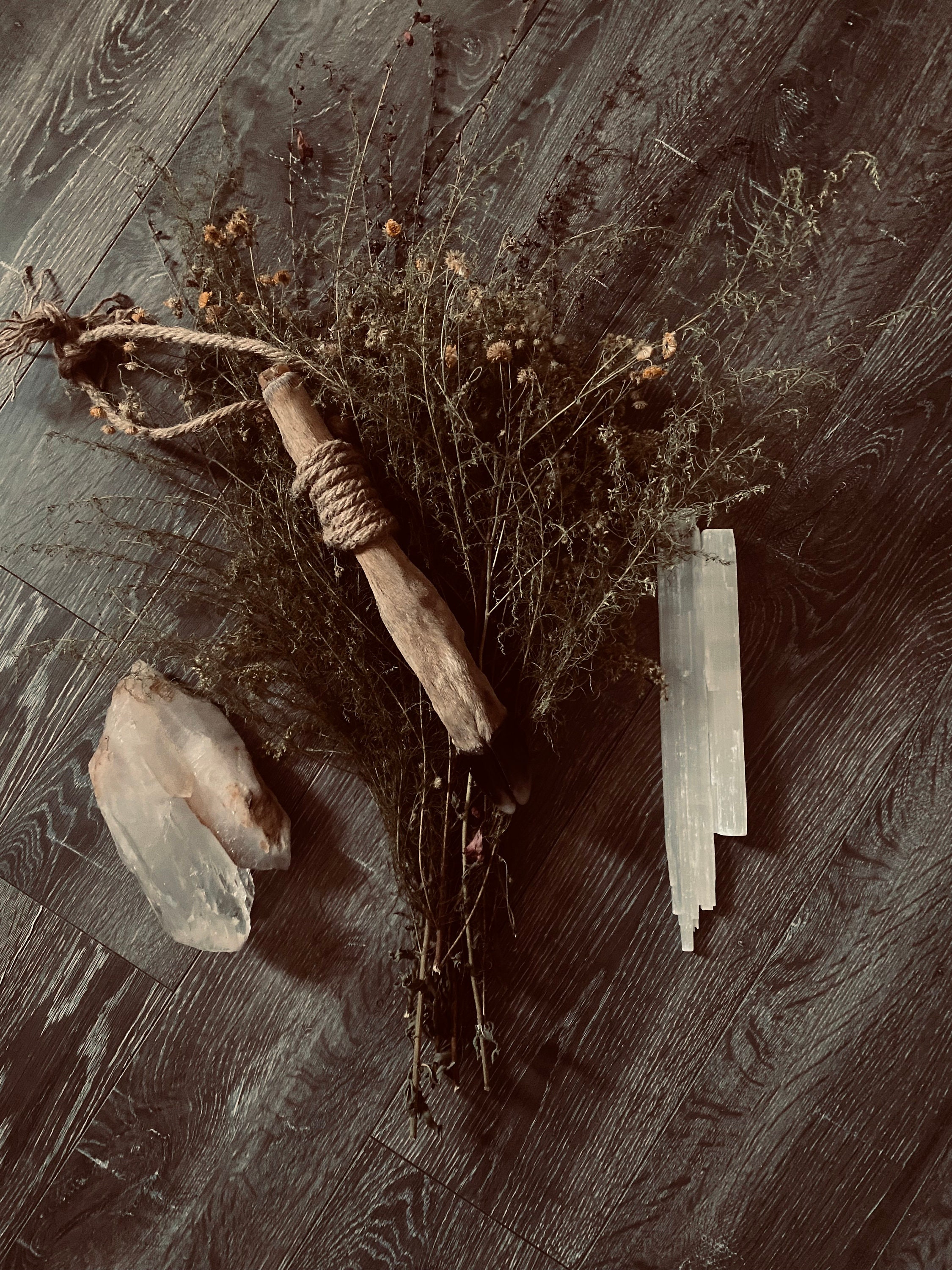 Preserved Deer Leg Witch Altar Animal Spirit Curio Witchy Decor - Etsy