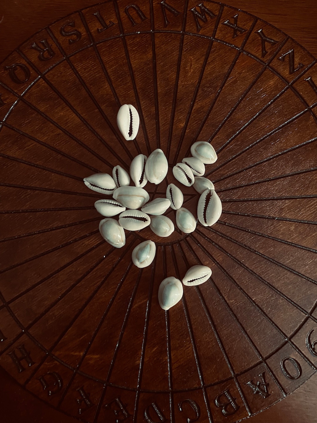 Cowrie Shells | Spirit Communication | Divination | Fertility | Witch ...