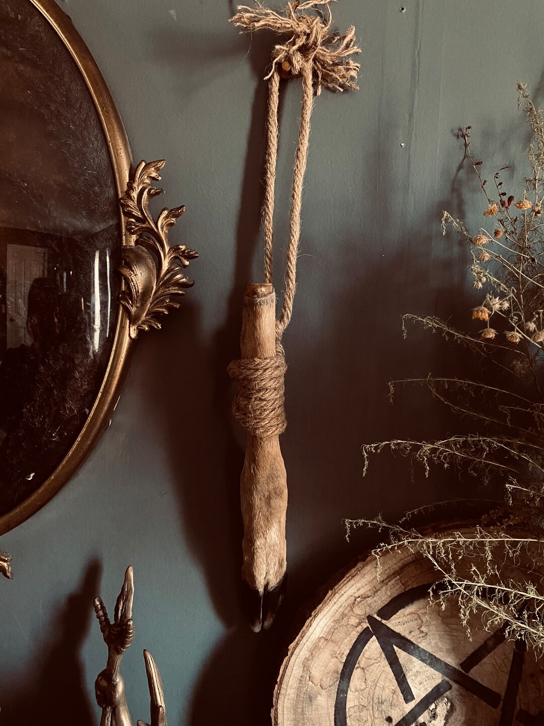 Preserved Deer Leg Witch Altar Animal Spirit Curio Witchy Decor - Etsy