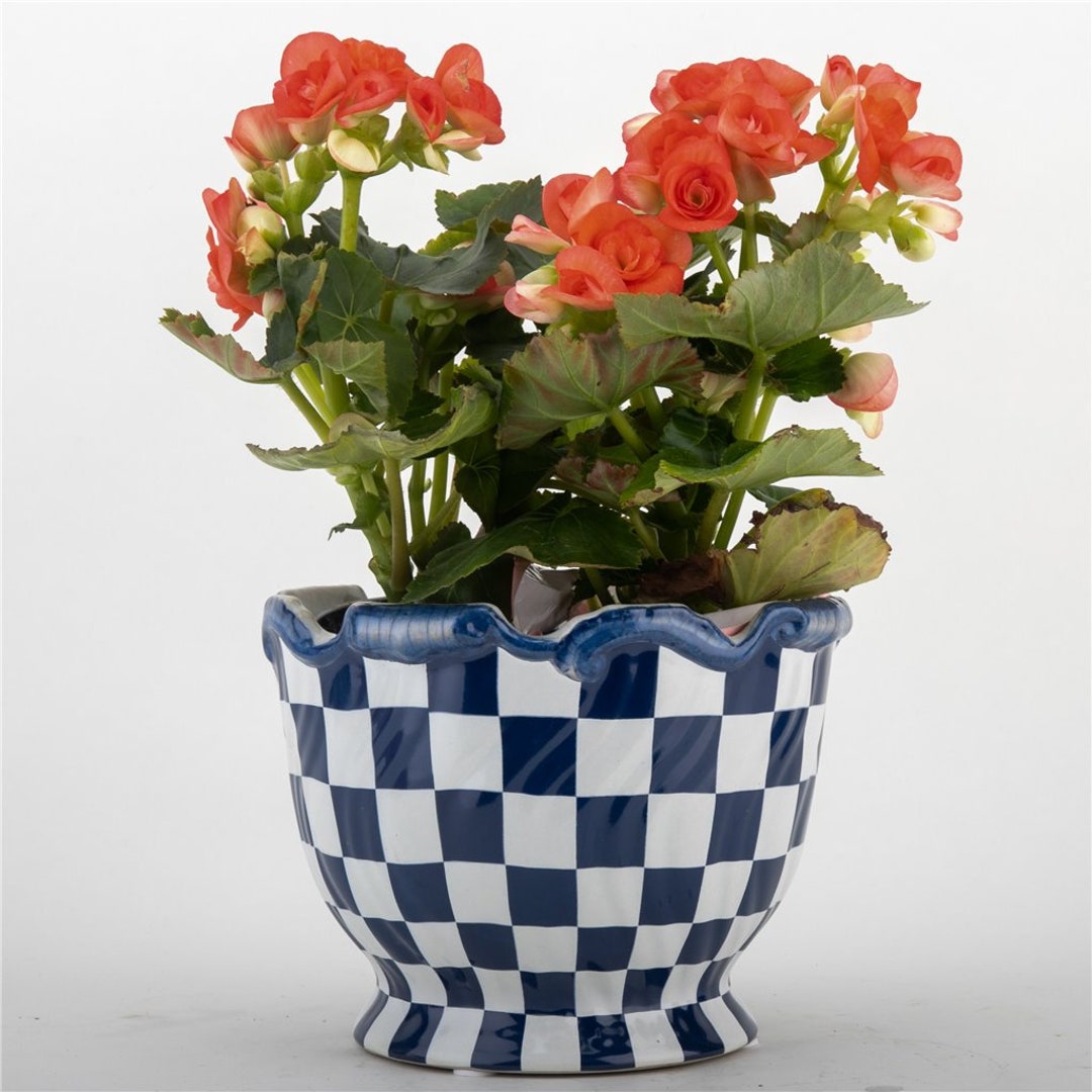 Blue & White Checker Porcelain Planter - Etsy