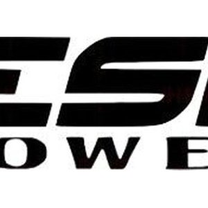 Diesel Power Car Sticker, Vinyl Decal for Diesel Cars, Vans, Lorry ...