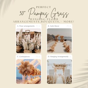 Large Tall Dried Pampas Grass Flowers, Pompas Feather Grass, Boho ...