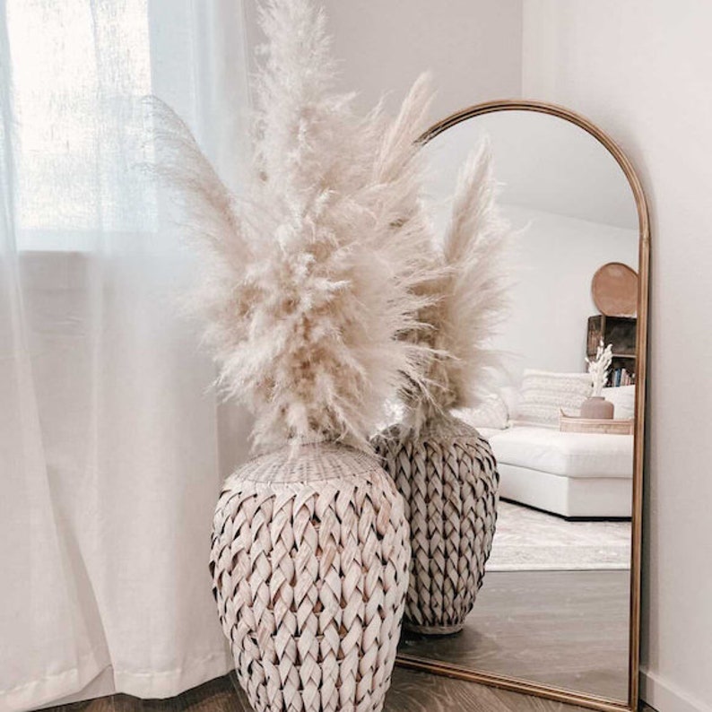 Ivory Dried Pompus Large Pampas Grass Vase Xxl Decor Etsy