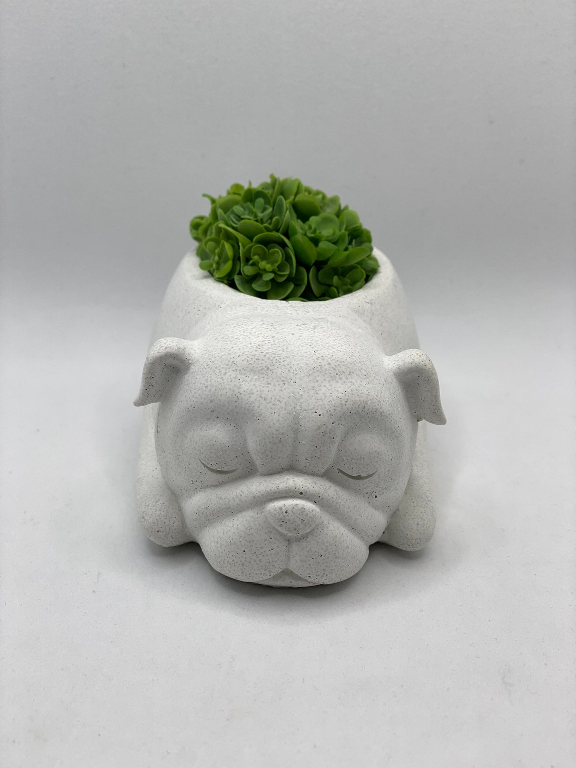 Cement Pug Planter | Etsy