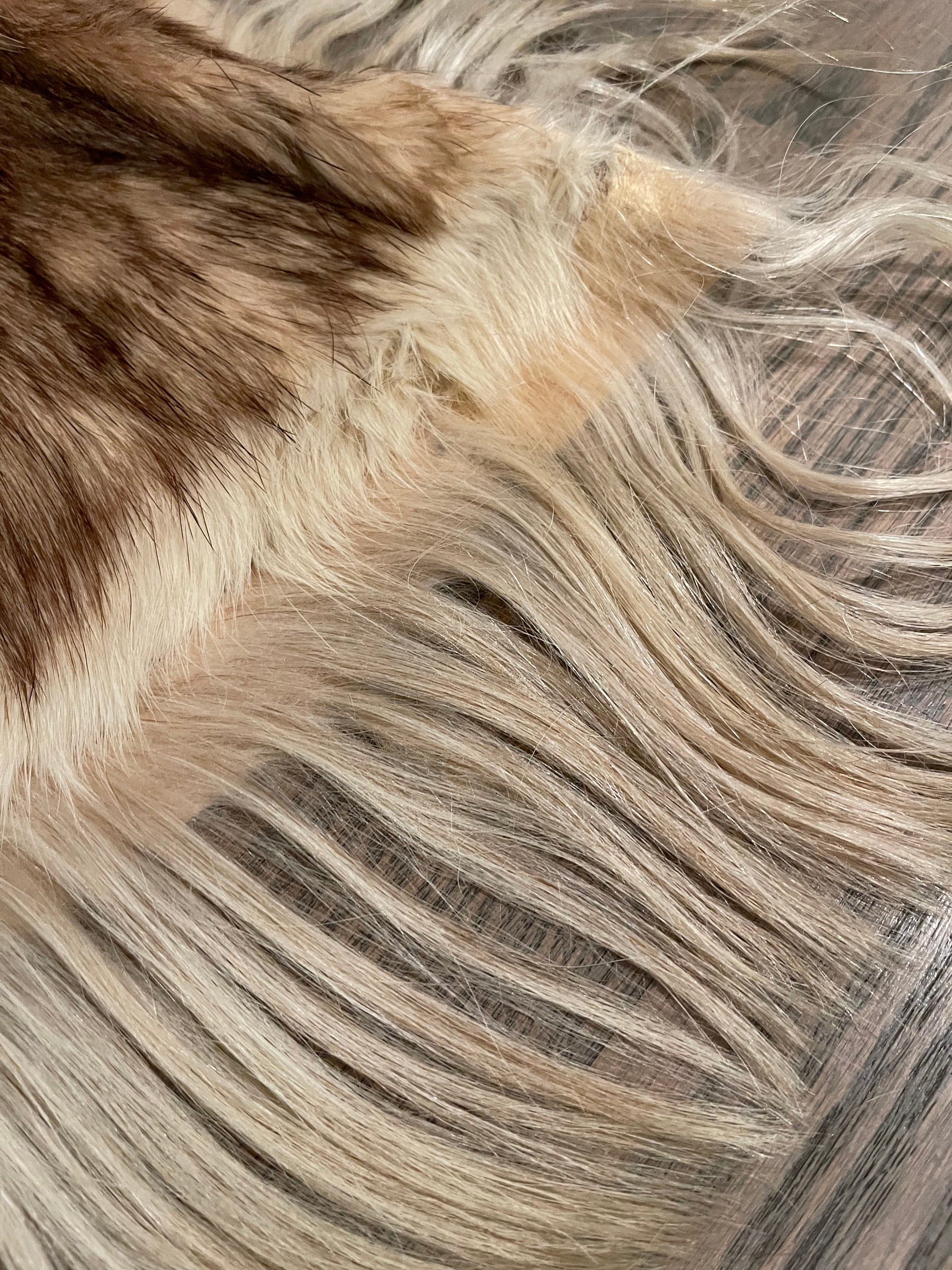 Very Large Vintage Horse Hair Rug - Etsy