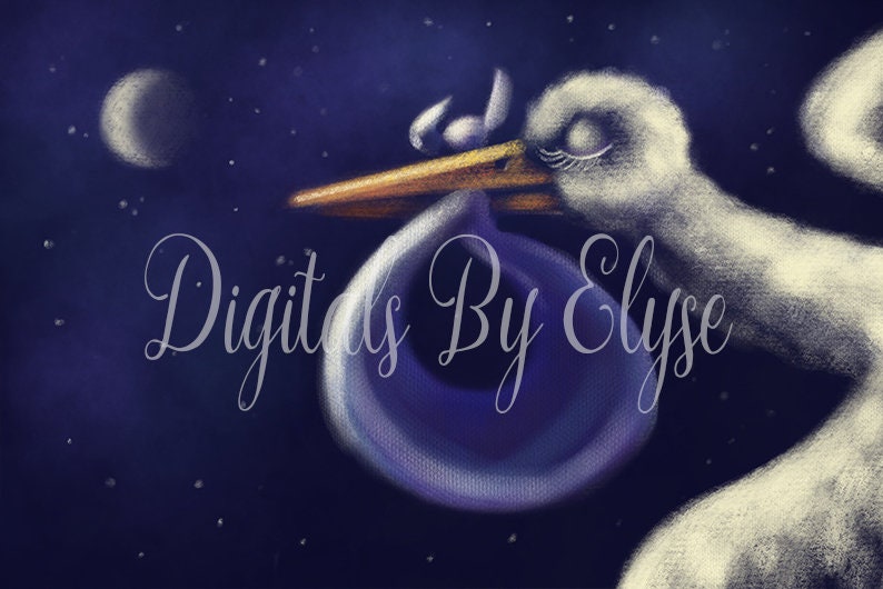 Digital Backdrop for Newborn Photography. Stork Background - Etsy