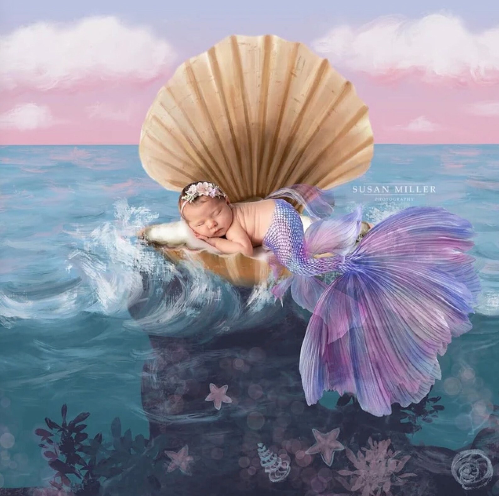 Mermaid on Clam Shell: Newborn Photography Digital Backdrop (2 Files ...