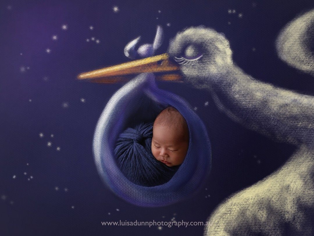 Digital Backdrop for Newborn Photography. Stork Background - Etsy