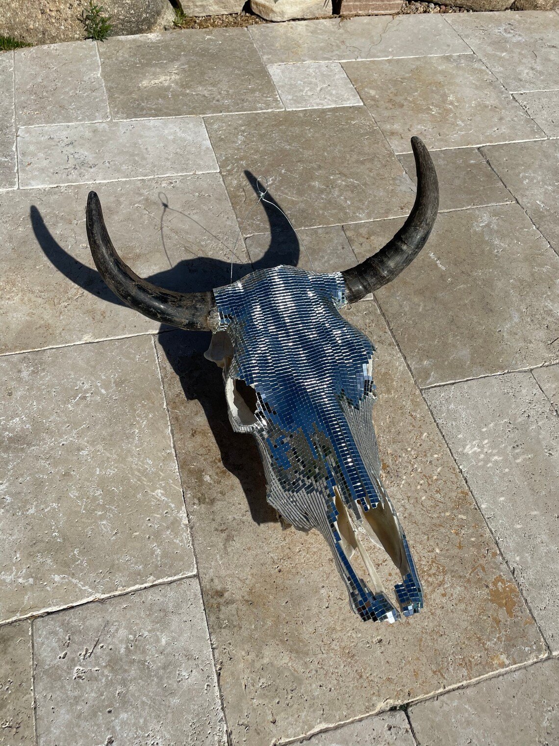 Disco Steer/bull Skull - Etsy