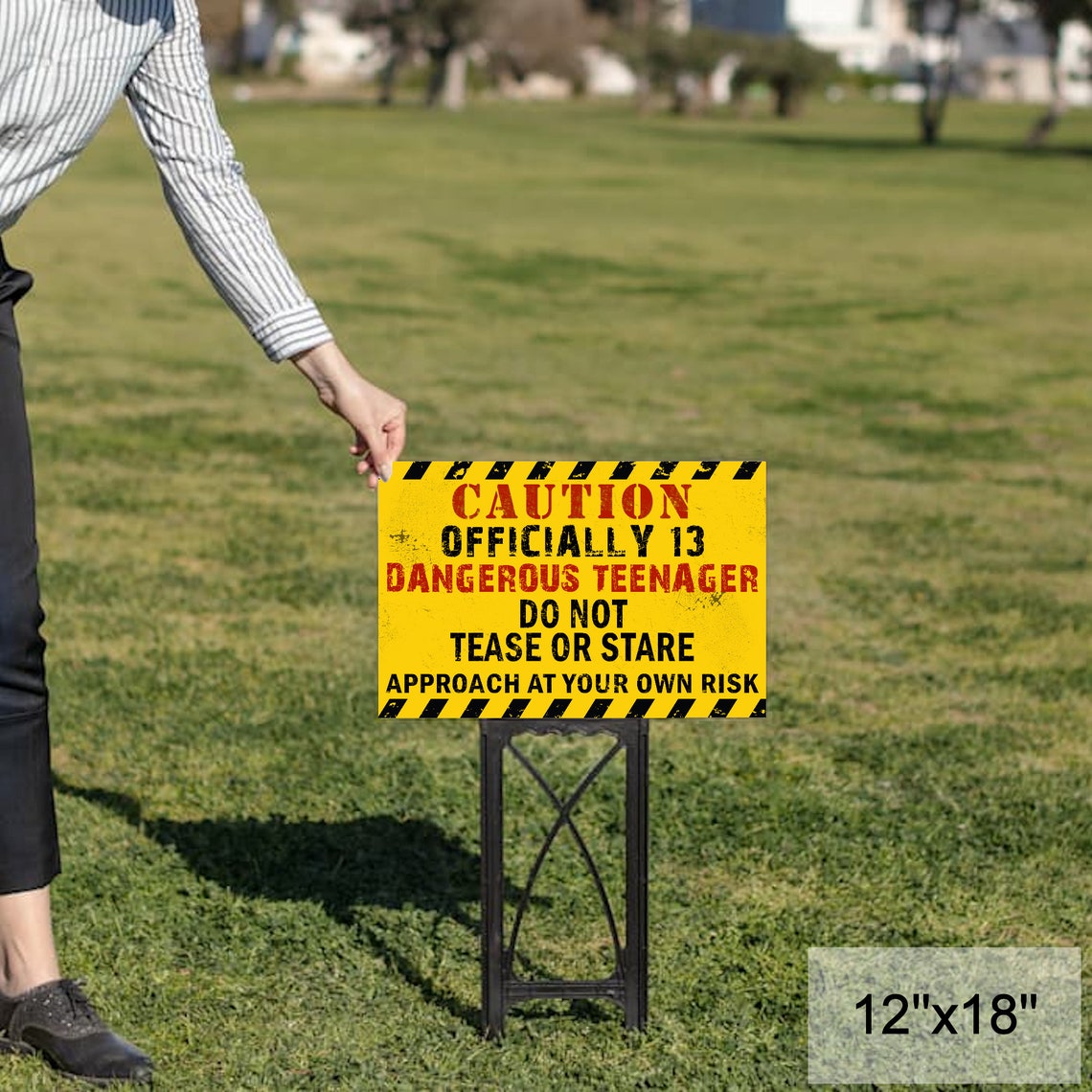 Officially a Teenager 13th Birthday Yard Sign Drive by | Etsy