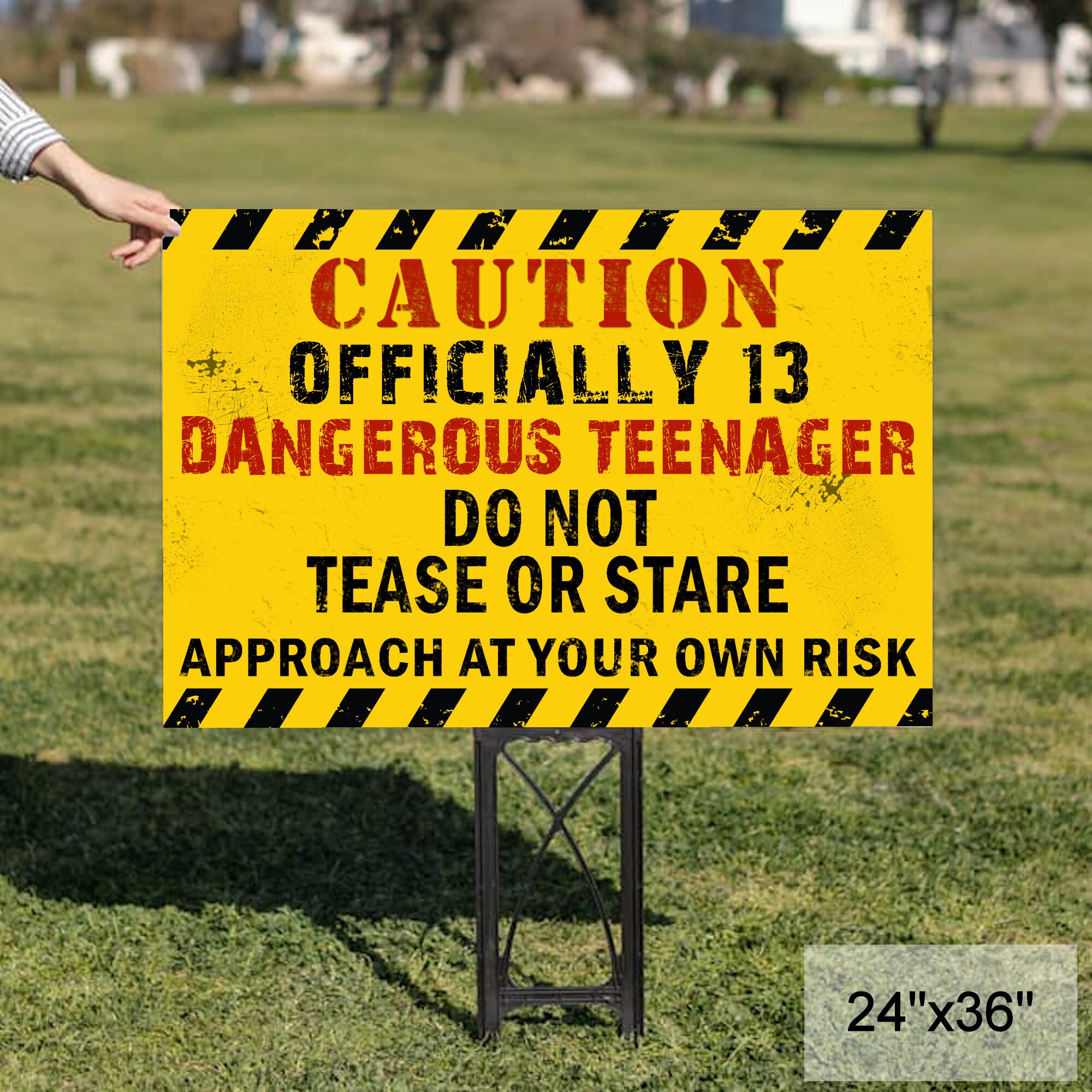 Officially a Teenager 13th Birthday Yard Sign Drive by | Etsy