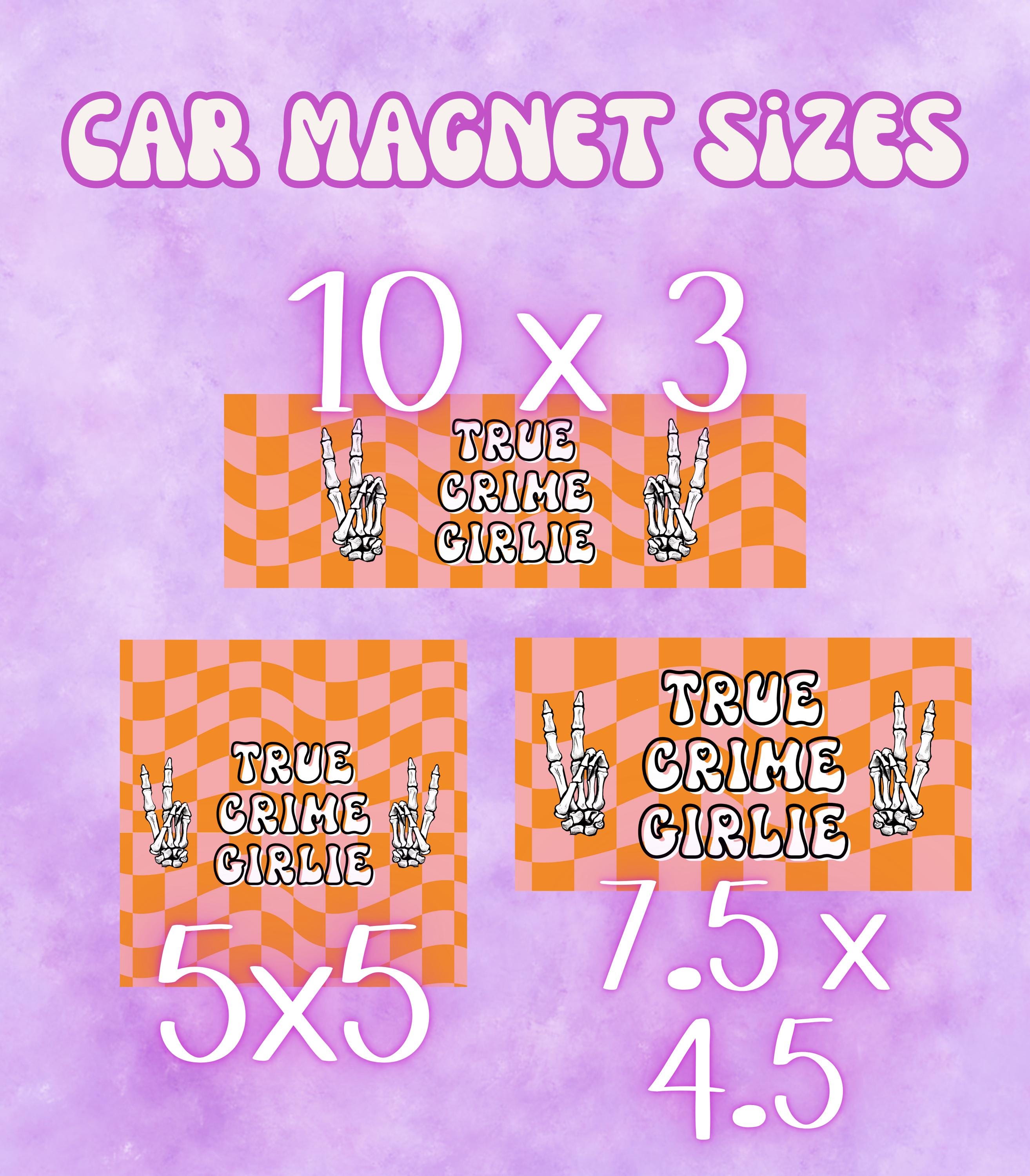 I Brake 4 Critters Car Magnet Car Bumper Sticker Cute Car Raccoon ...