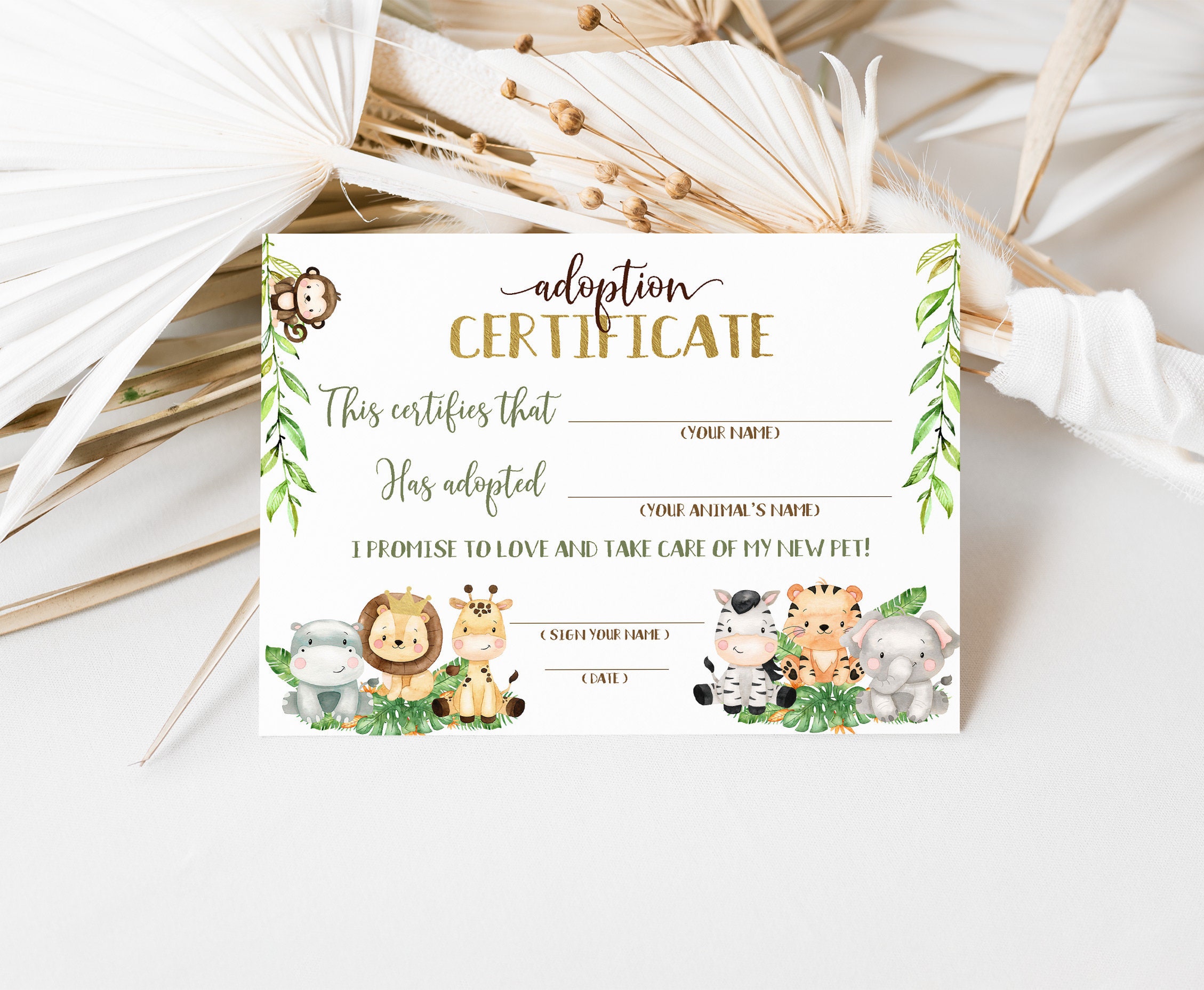 Jungle Safari Vbs Certificates
